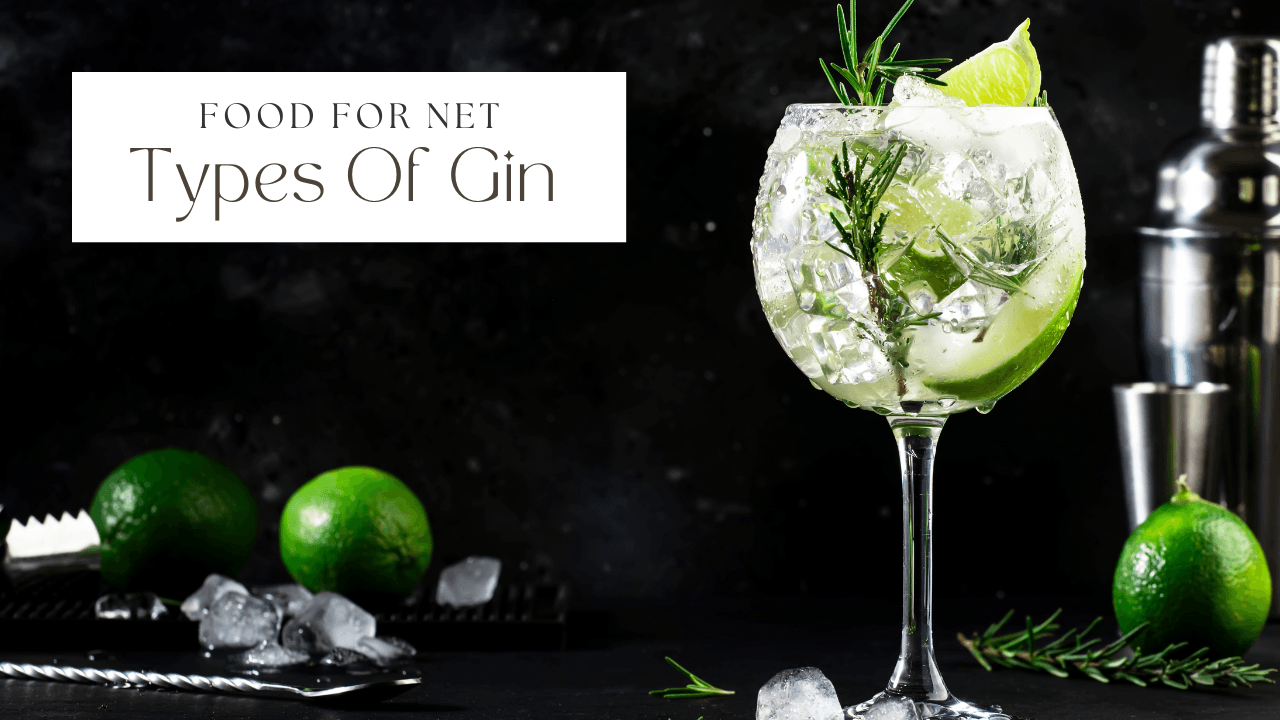 9 Types Of Gin Plus Exciting Gin Variations | Food For Net