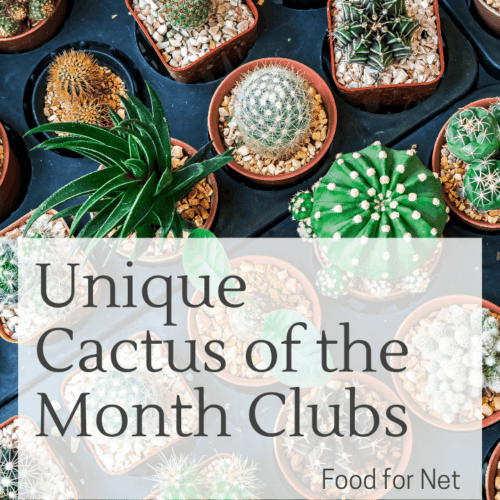 21 Polyphenol Rich Foods For A Vibrant Diet That Will Never Be Boring ...