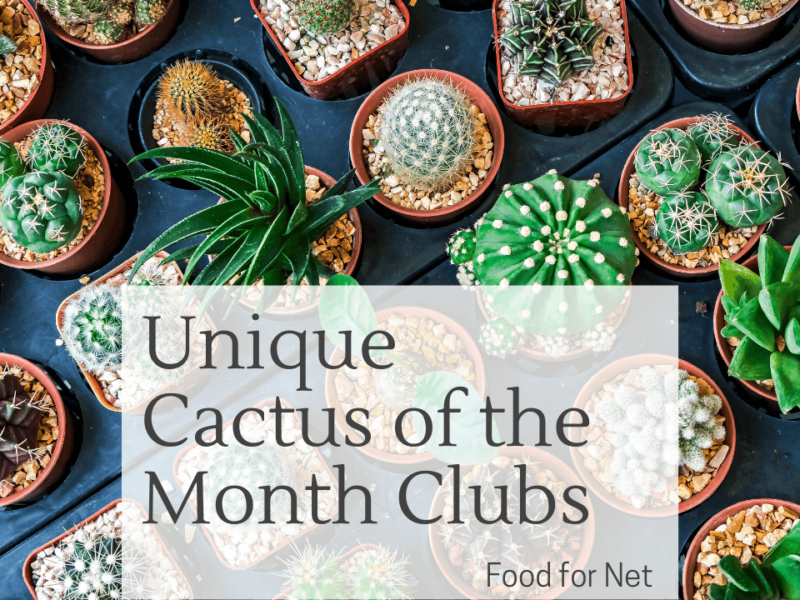Top 7 Bead of the Month Clubs | Food For Net