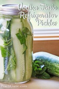 13 Exciting Pickle Juice Vodka Infusions You Have To Try | Food For Net