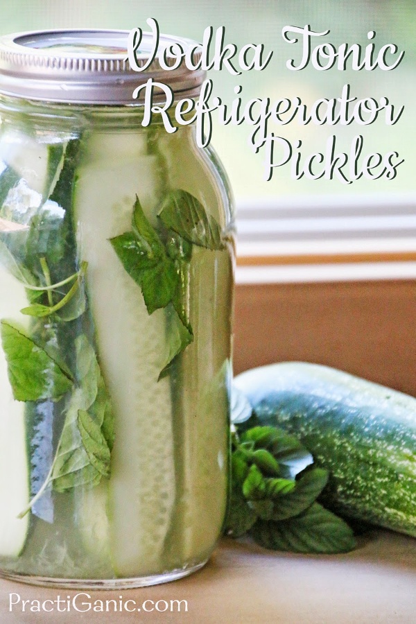 13 Exciting Pickle Juice Vodka Infusions You Have To Try | Food For Net
