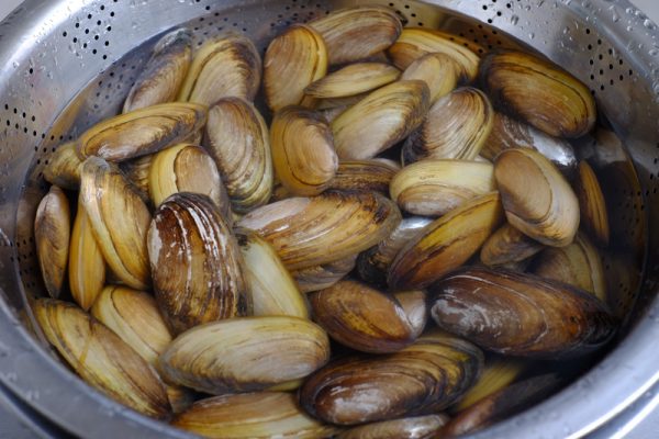 Razor Clams in Spicy Black Bean Sauce | Food For Net