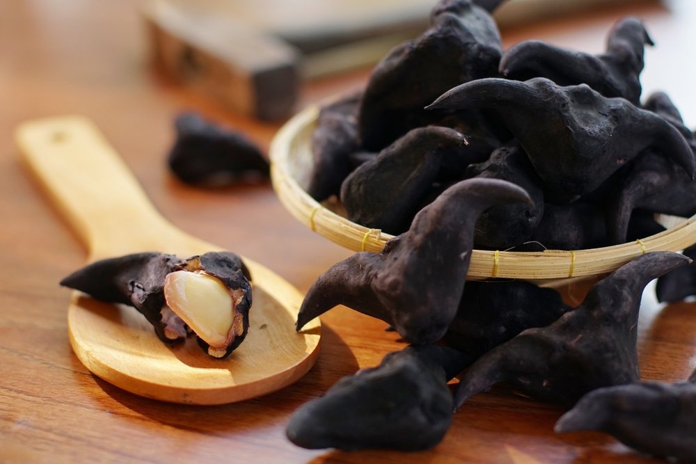 29 Exotic Nuts That You Need To See To Believe | Food For Net