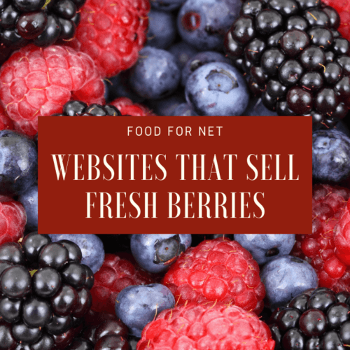 Buy Fresh Mulberries Online From These 4 Websites | Food For Net