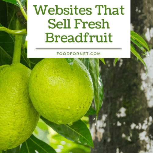 28 Exotic Red Fruits That Will Blow Your Mind | Food For Net