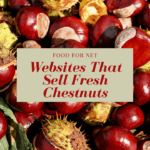 29 Exotic Nuts That You Need To See To Believe | Food For Net