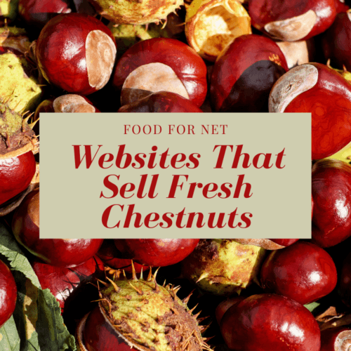 29 Exotic Nuts That You Need To See To Believe | Food For Net