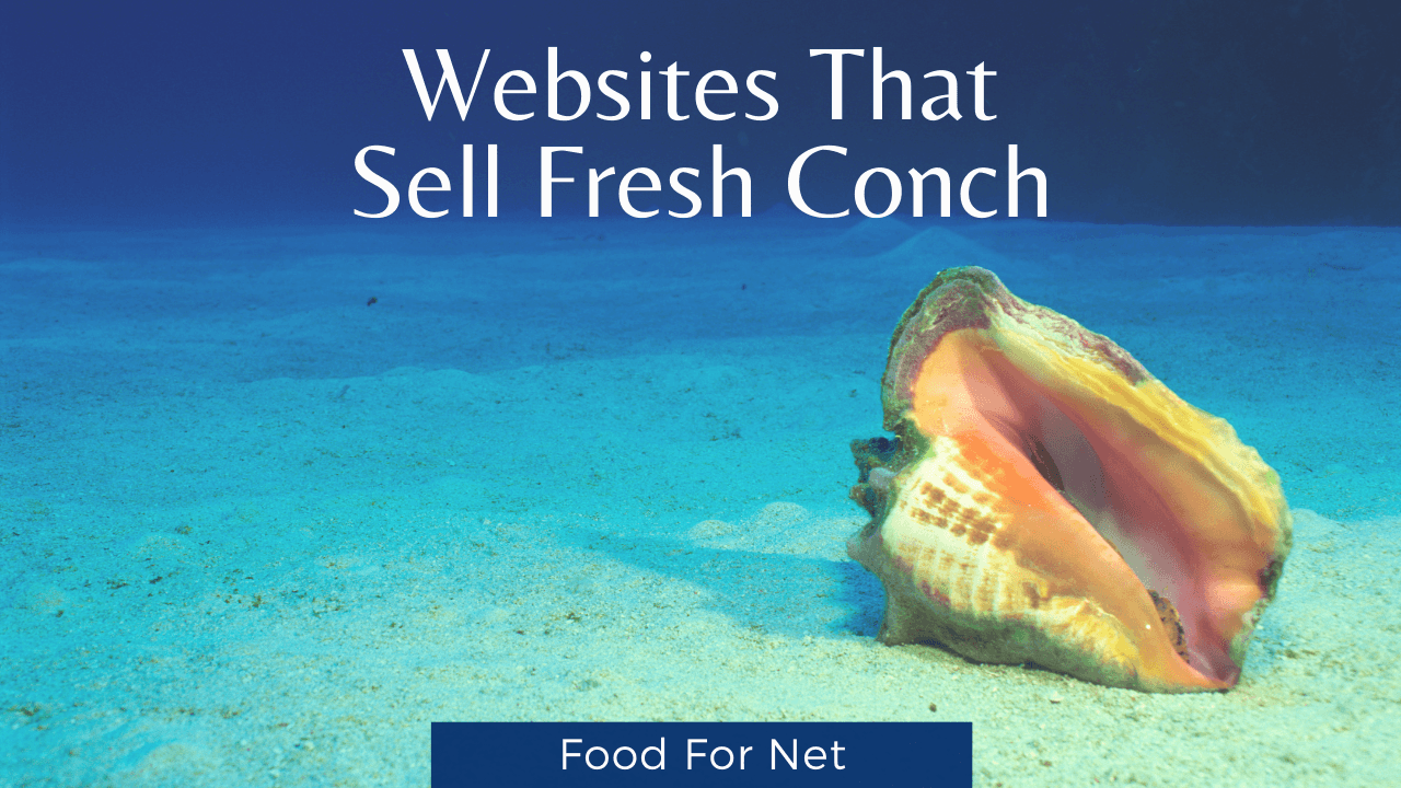 Buy Fresh Conch Online From These 8 Websites | Food For Net