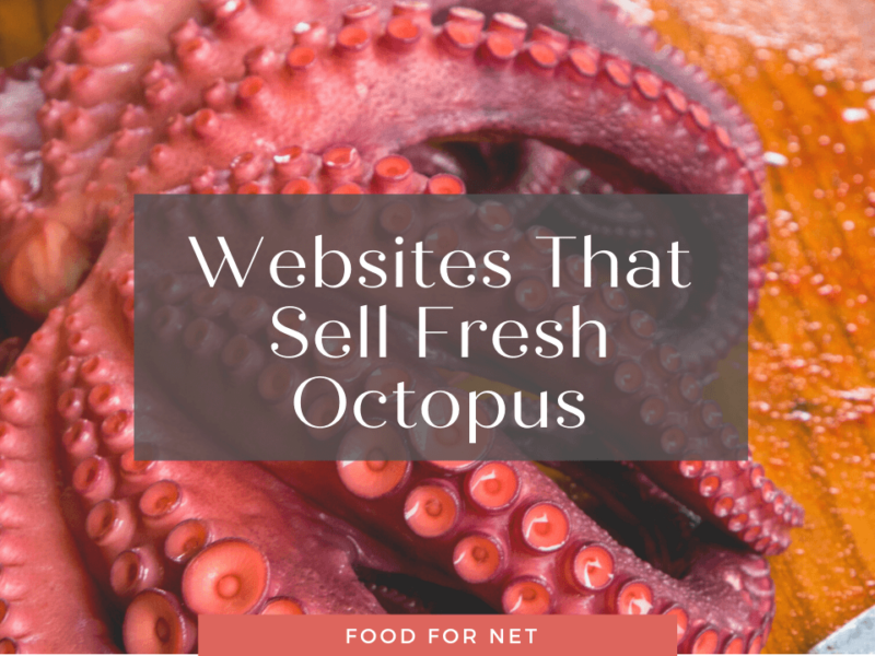 Top 6 Protein Powder Brands With Creatine | Food For Net