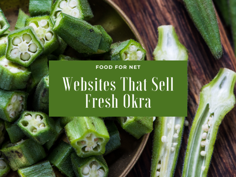 5 Best Protein Powder Brands With Probiotics | Food For Net