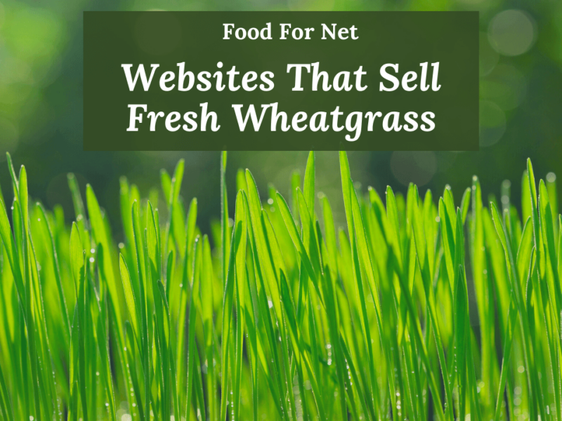 Buy Fresh Pasta Online From These 8 Websites | Food For Net