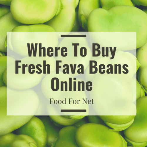 16 Types of Beans – the Most Common and the Most Popular | Food For Net