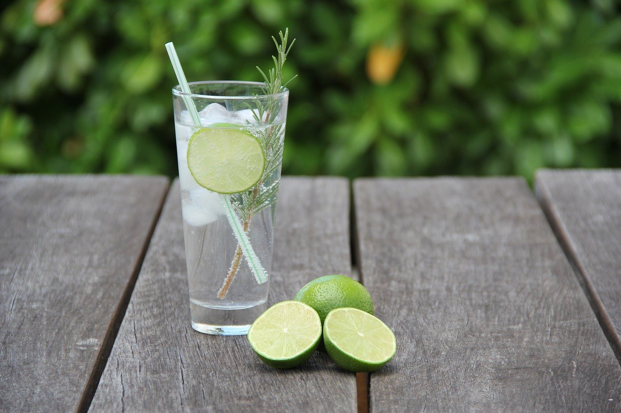 The Best Cheap Gin | Food For Net