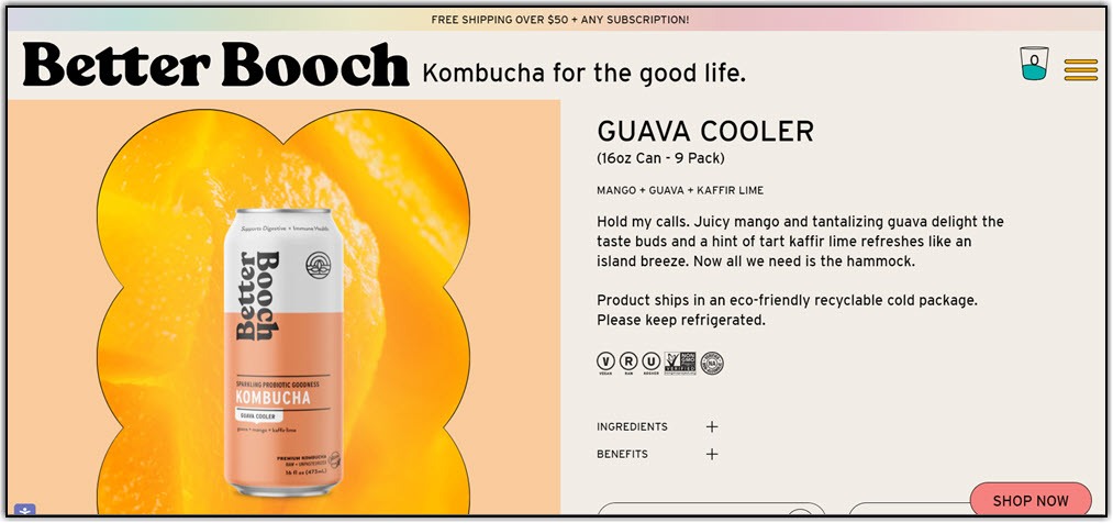 5 Best Kombucha Brands | Food For Net