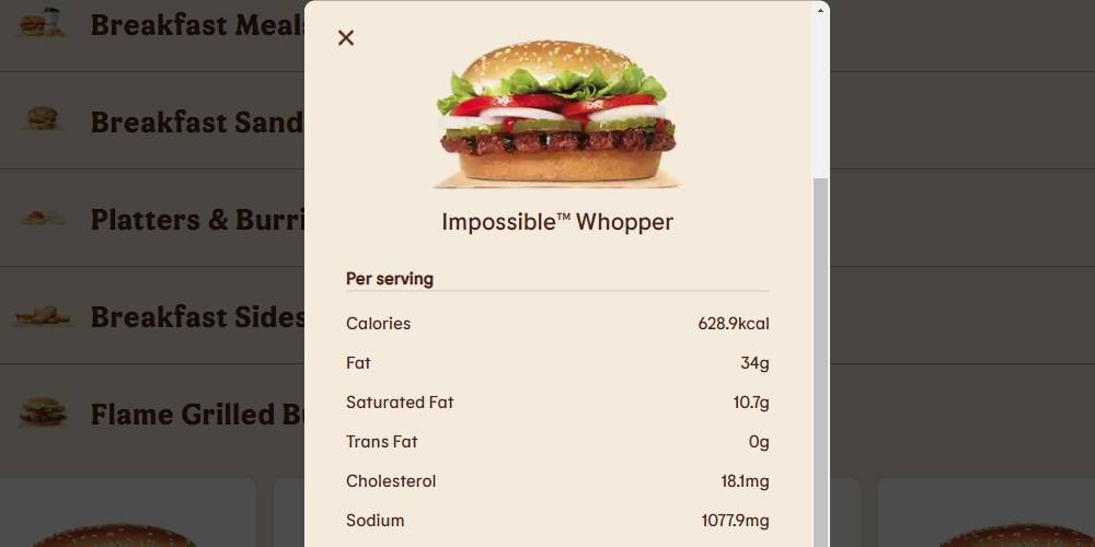 Best Vegetarian Fast Food | Food For Net