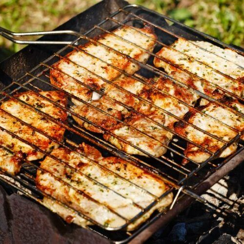 Best Ultralight Grills for Backpacking | Food For Net