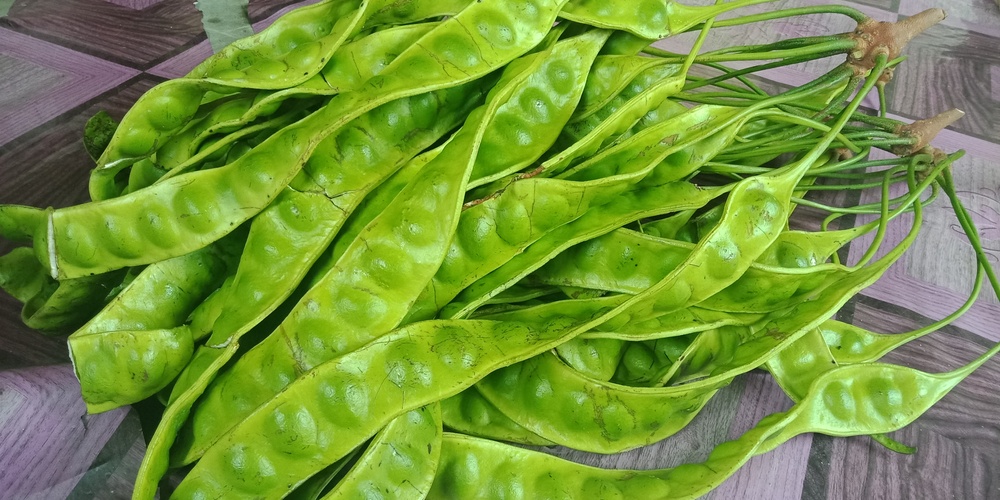 14 Types of Indian Vegetables with Easy Vegetable Dish Ideas! | Food ...