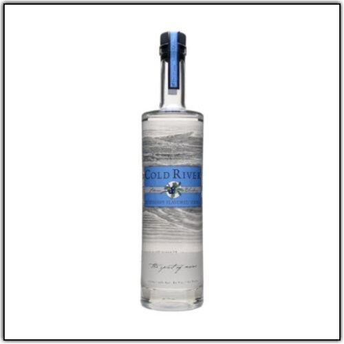 The Best Blueberry Vodka | Food For Net