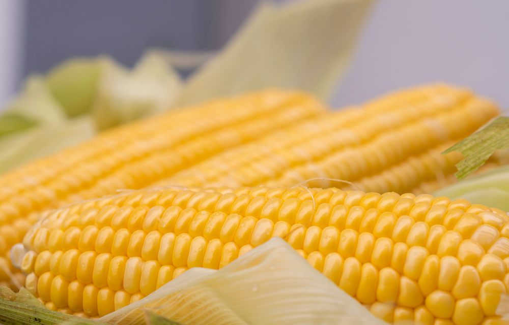 17 Best Vegetables for Diabetics and How to Guides in Managing Diabetes ...