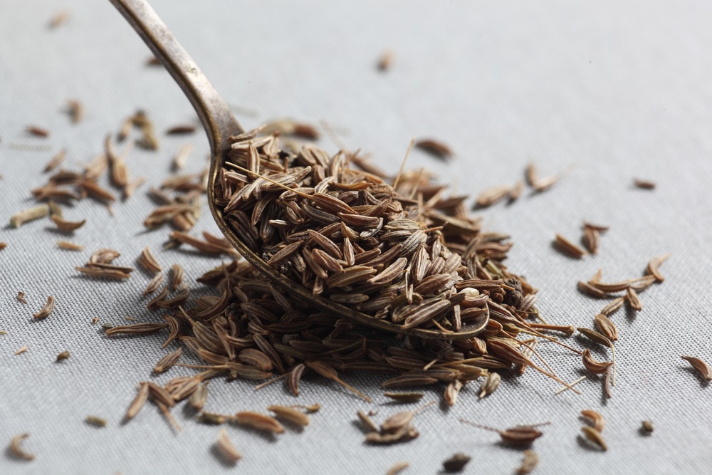 17 Spices for Mexican Food with Must-Try Mexican Dishes! | Food For Net