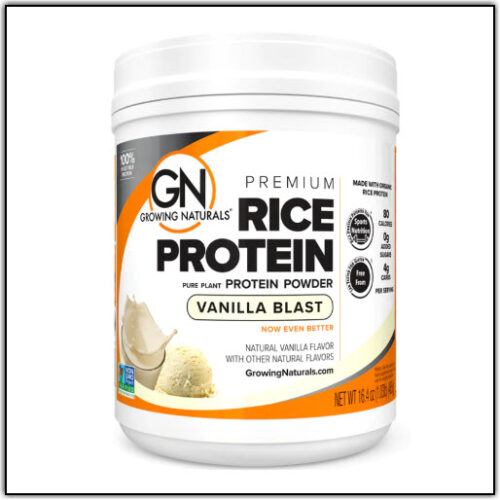 5 Best Rice Protein Powder Brands | Food For Net