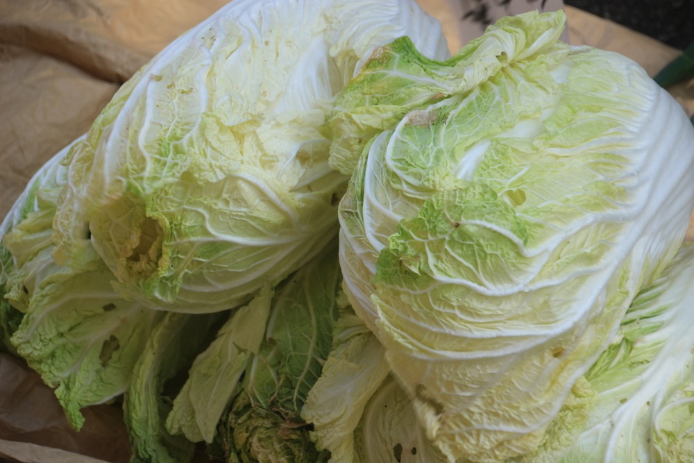 20 Types of Japanese Vegetables | Food For Net