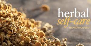 Buy Fresh Herbs Online From These 10 Websites | Food For Net
