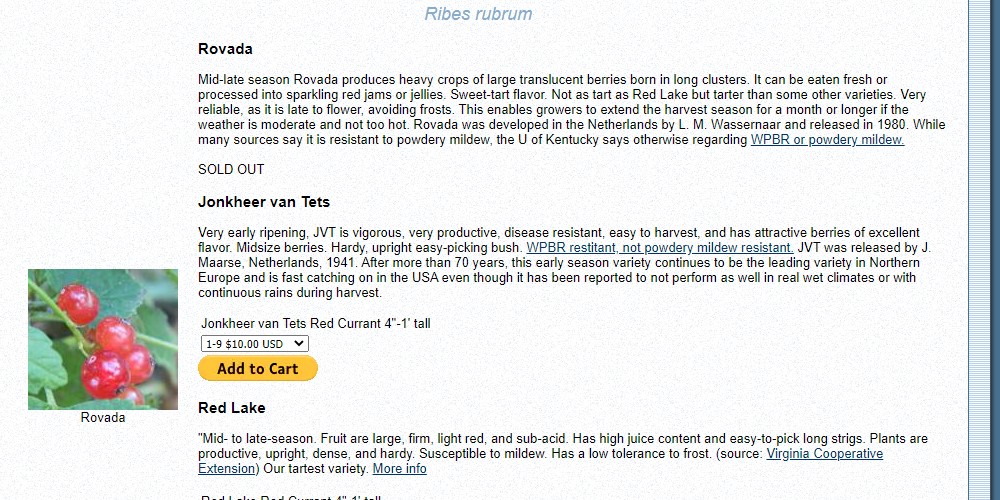 Buy Fresh Red Currants Online From These 3 Websites | Food For Net