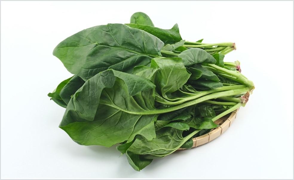 20 Types of Japanese Vegetables | Food For Net