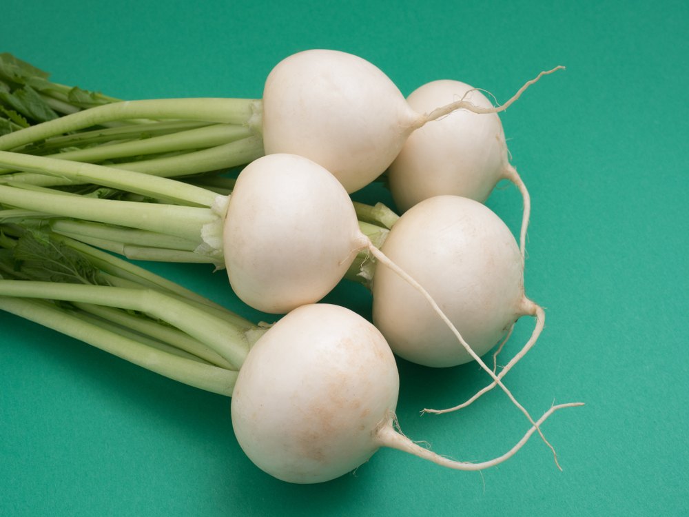 20 Types of Japanese Vegetables | Food For Net