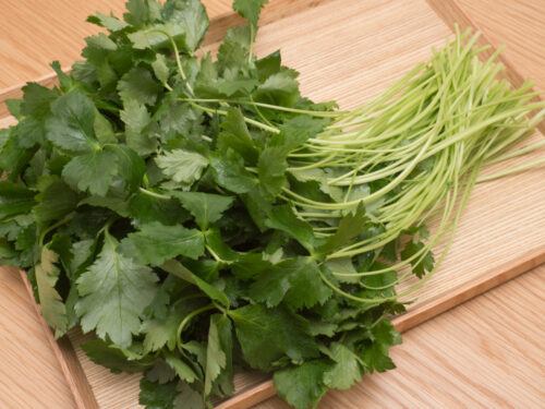 20 Types of Japanese Vegetables | Food For Net