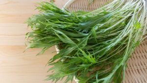 20 Types of Japanese Vegetables | Food For Net