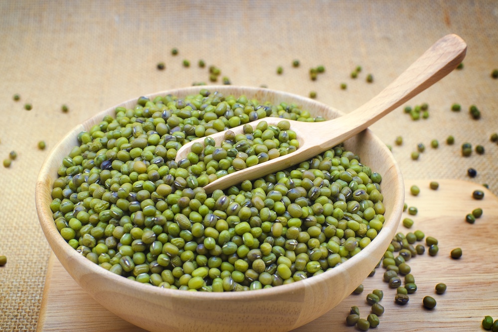 16 Types of Beans – the Most Common and the Most Popular | Food For Net