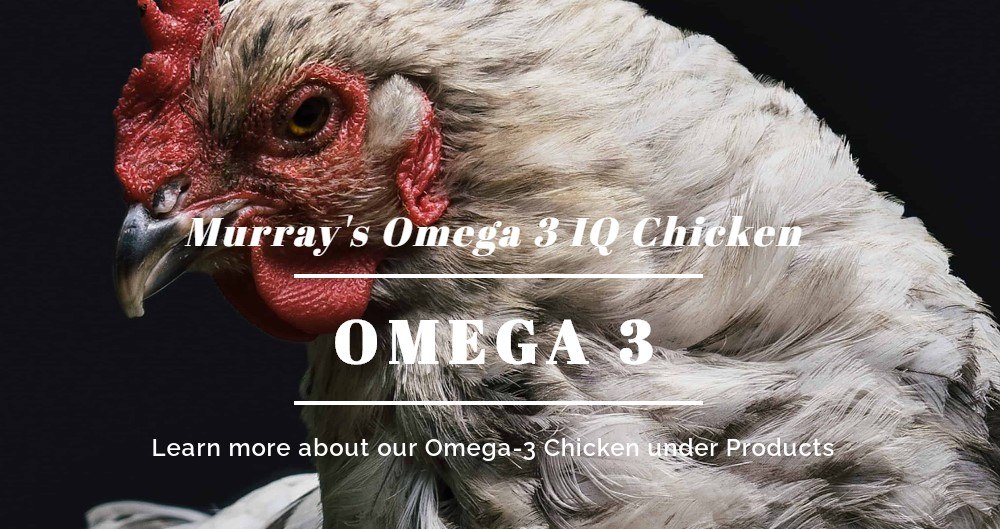 Buy Fresh Chicken Online From These 5 Websites | Food For Net