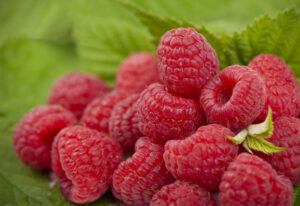 15 Best Foods For UTI Prevention And Healing, Plus 3 UTI-Friendly ...