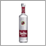 The Best Raspberry Vodka | Food For Net